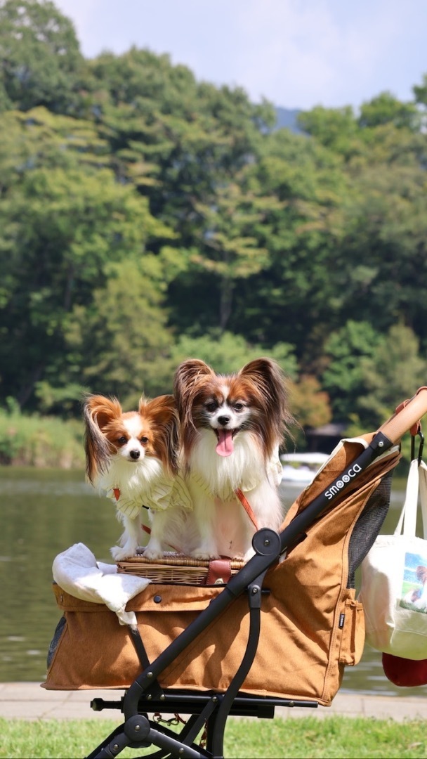 軽井沢へ日帰り旅行2: あさは私のビタミン。