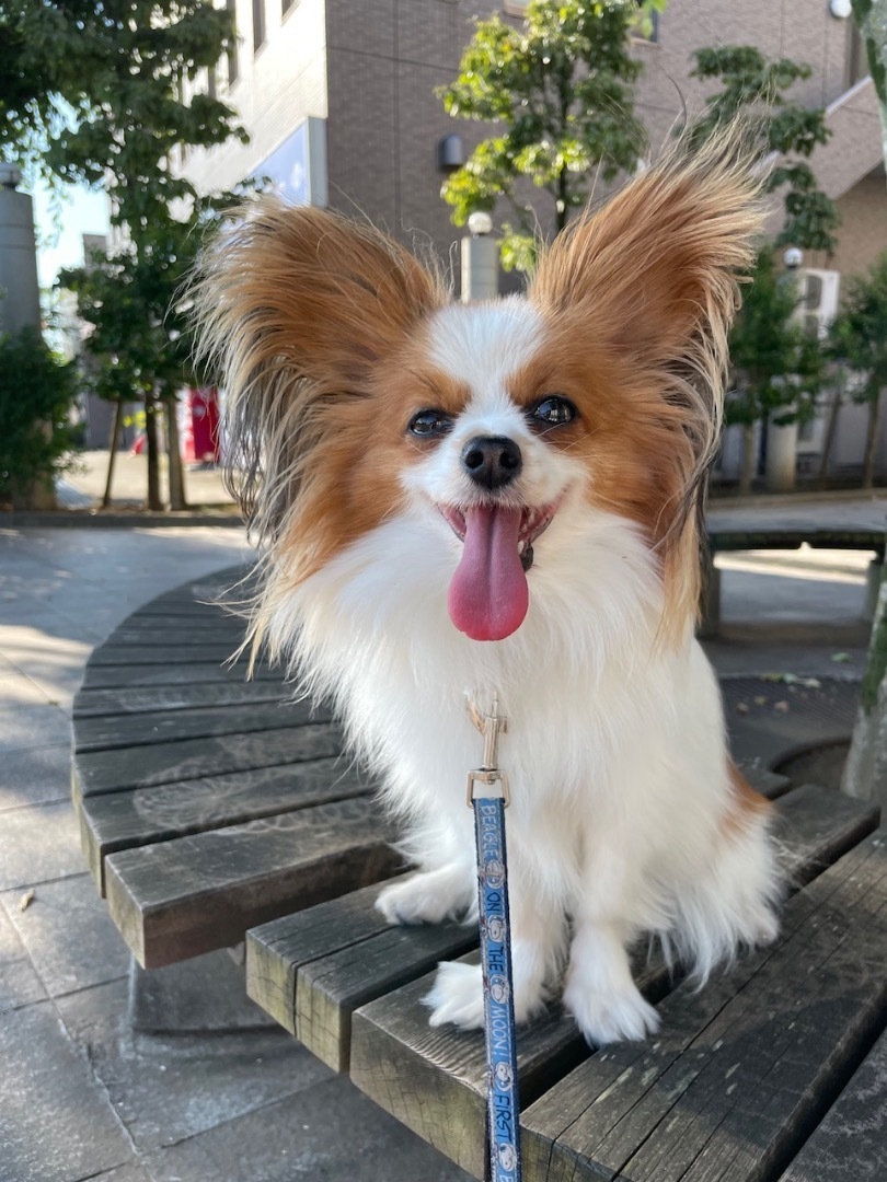 ゆず、元気です。: あさは私のビタミン。