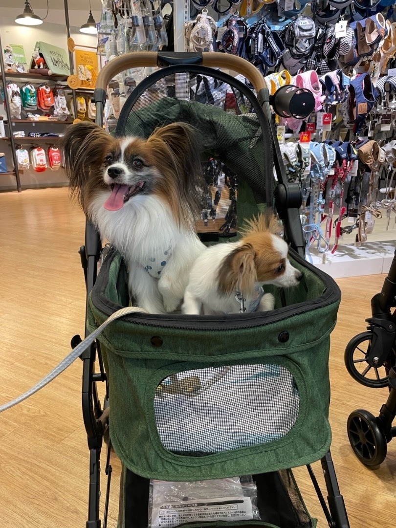 あさゆずカート買ったよ！: あさは私のビタミン。